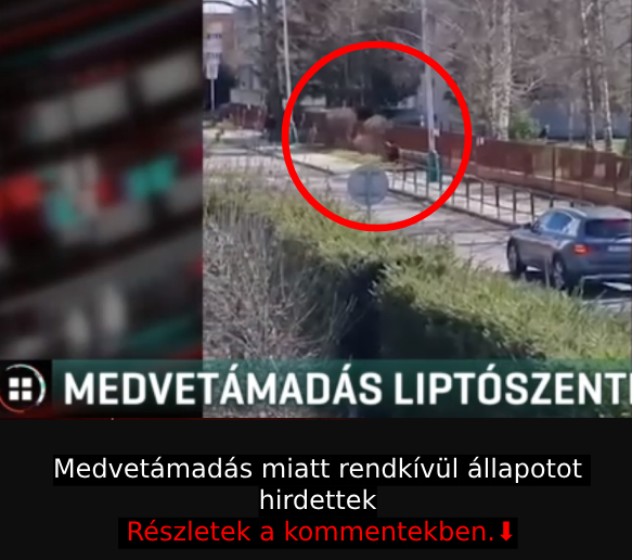 Medvetámadás miatt rendkívül állapotot hirdettek: itt vannak a Részletek! VIDEÓ | Kimondott ...